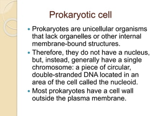Structure of prokaryotic cell.pptx