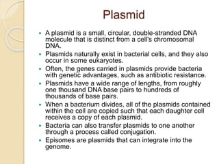 Structure of prokaryotic cell.pptx