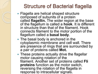 Structure of prokaryotic cell.pptx