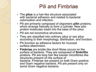 Structure of prokaryotic cell.pptx