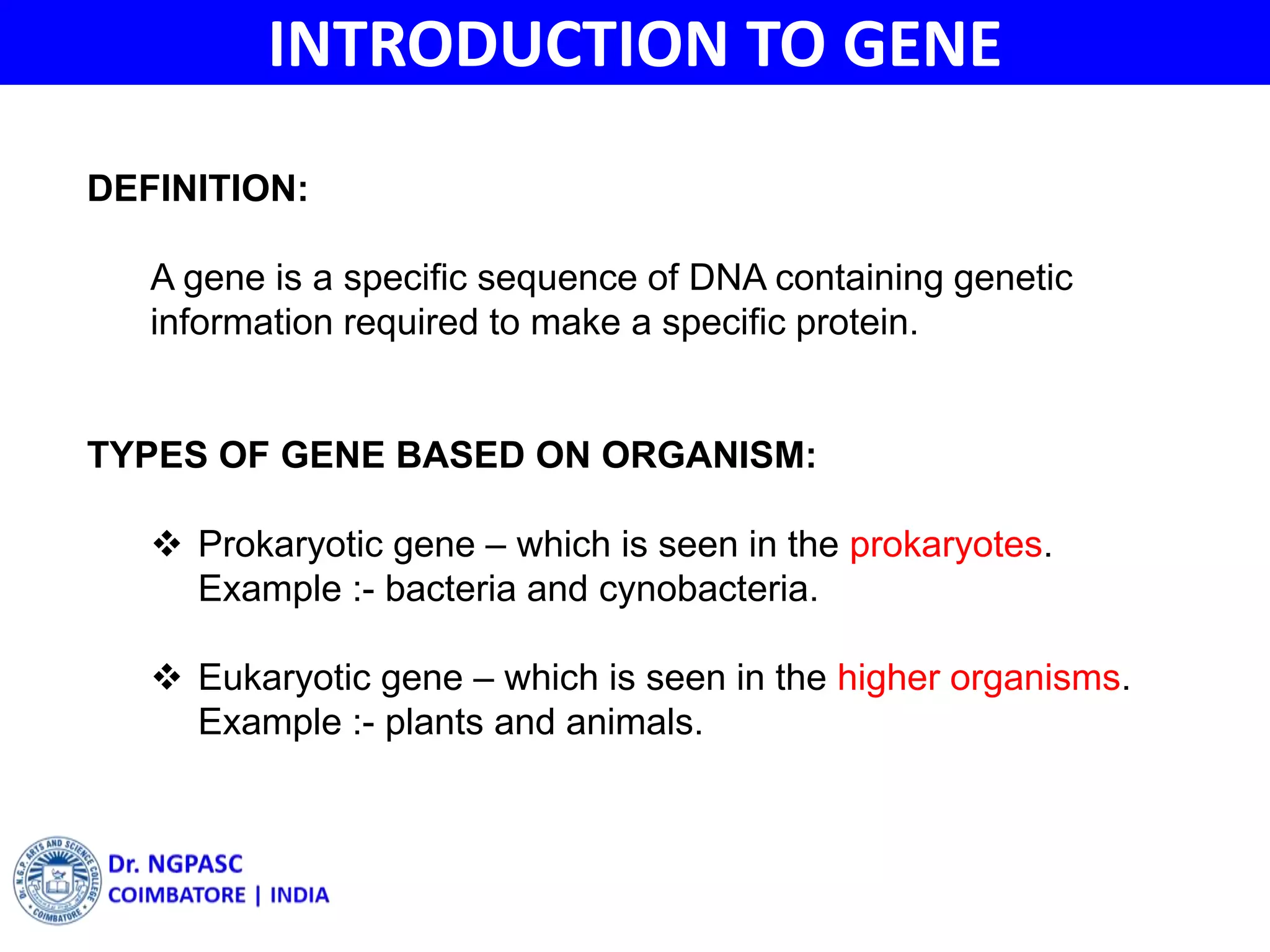 Structure of prokaryotic genes. | PPTX