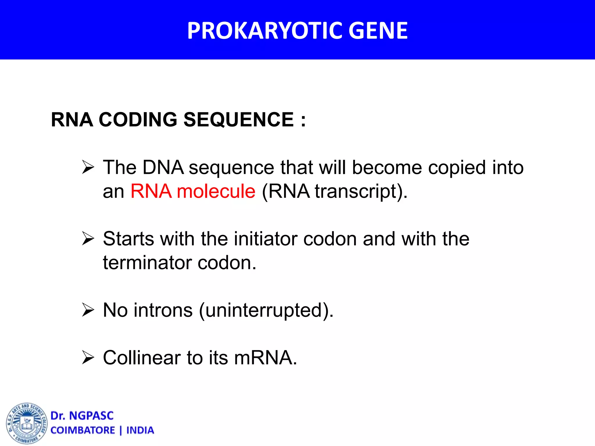 Structure of prokaryotic genes. | PPTX