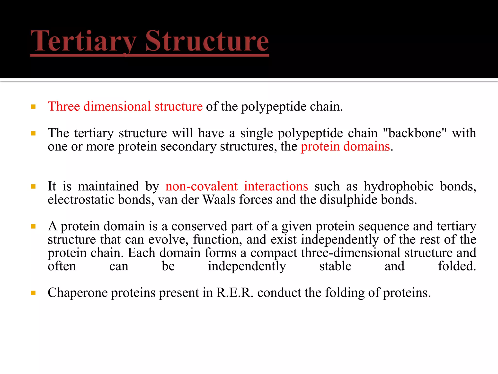 Protein Chemistry and Functions | PDF