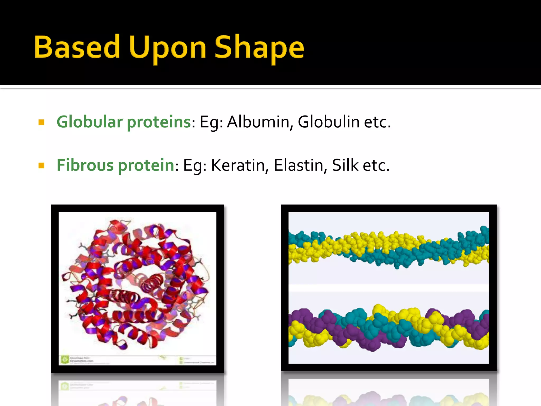 Protein Chemistry and Functions | PDF