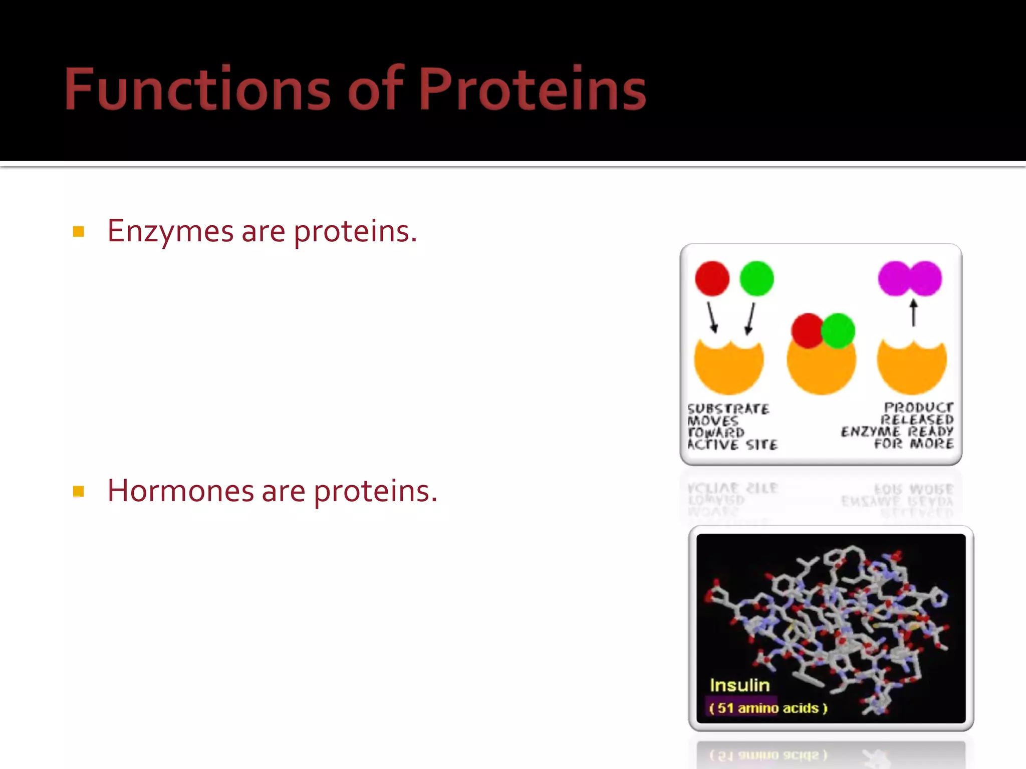 Protein Chemistry and Functions | PDF