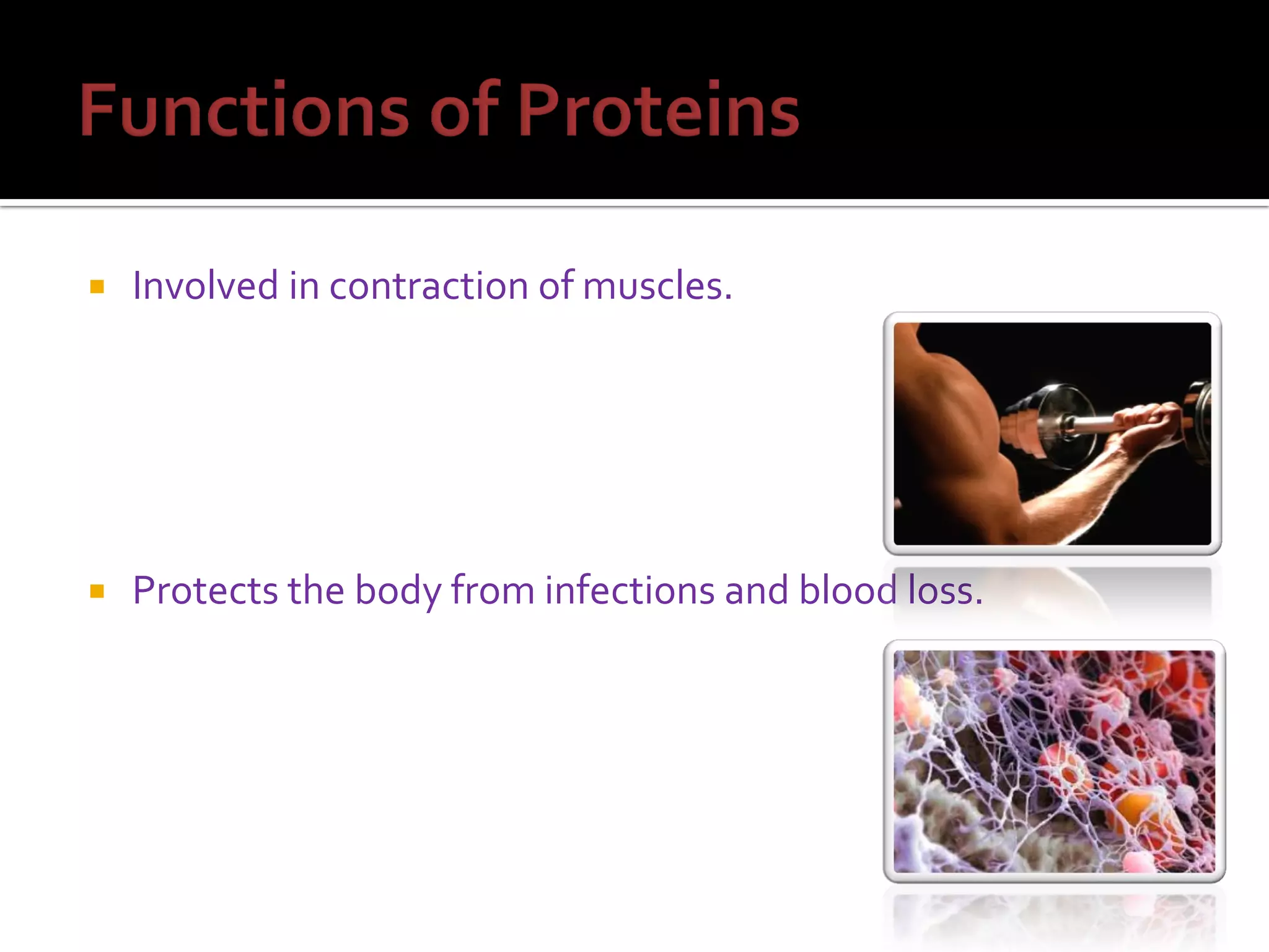 Protein Chemistry and Functions | PDF