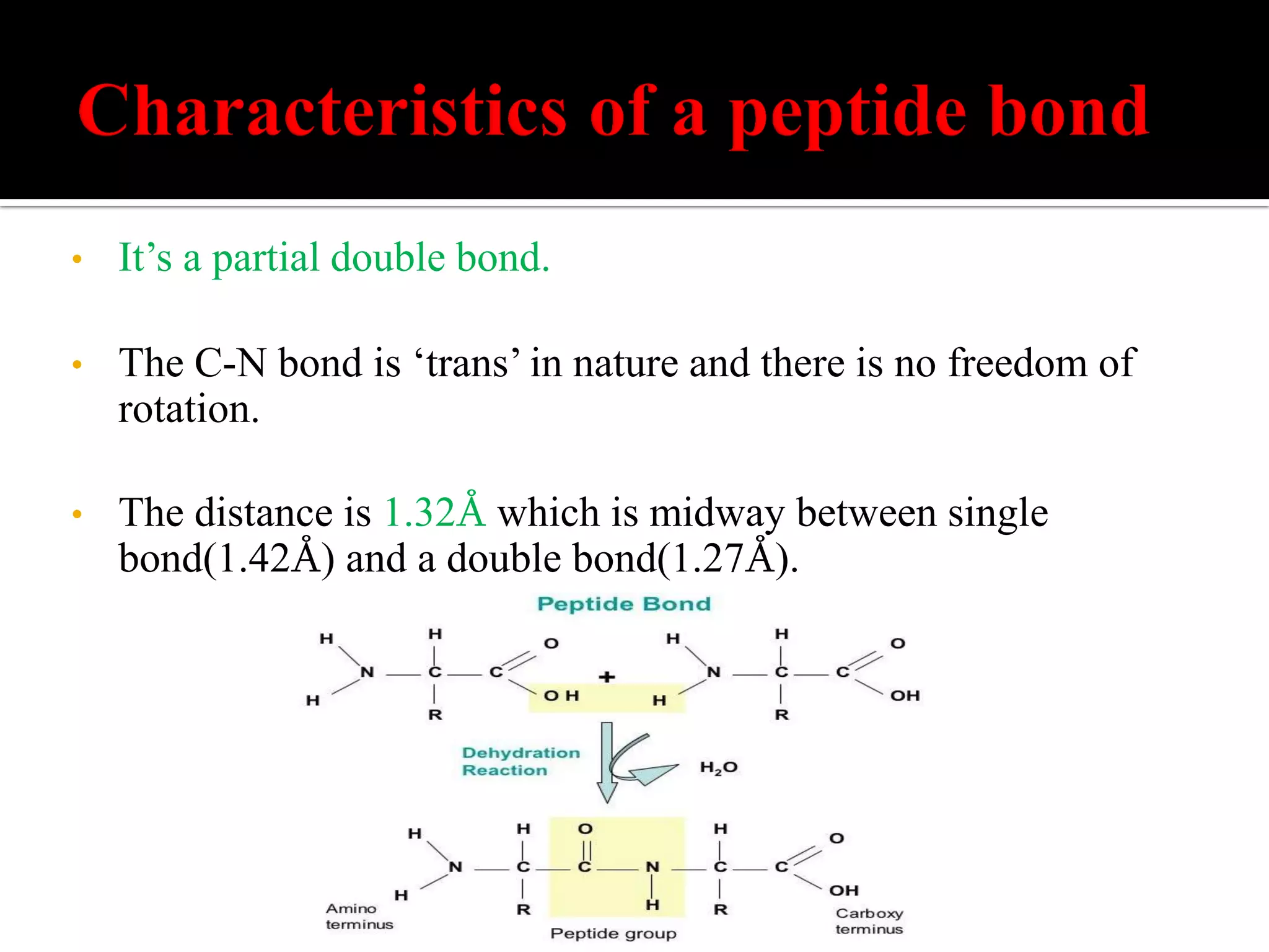 Protein Chemistry and Functions | PDF