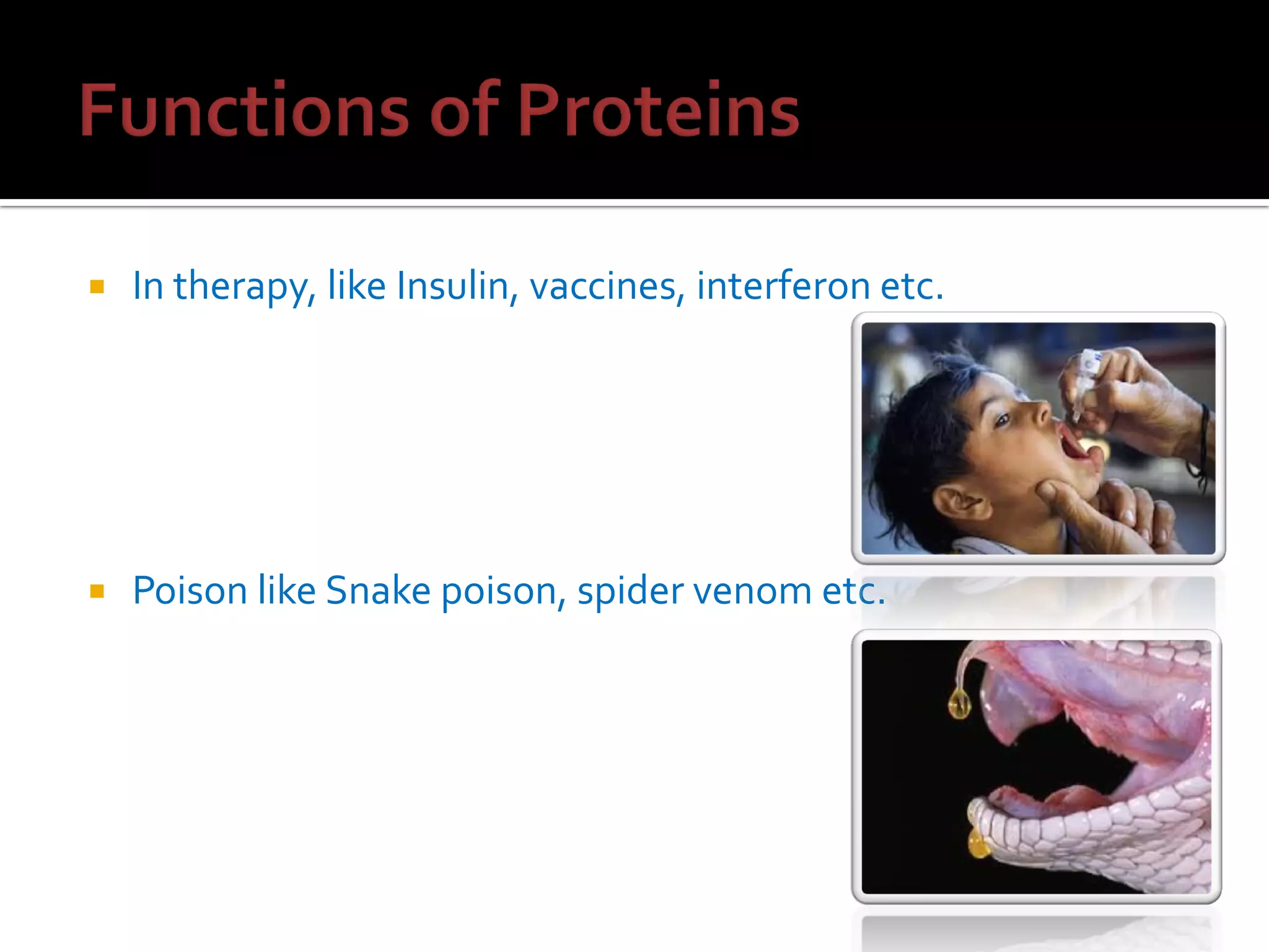 Protein Chemistry and Functions | PDF
