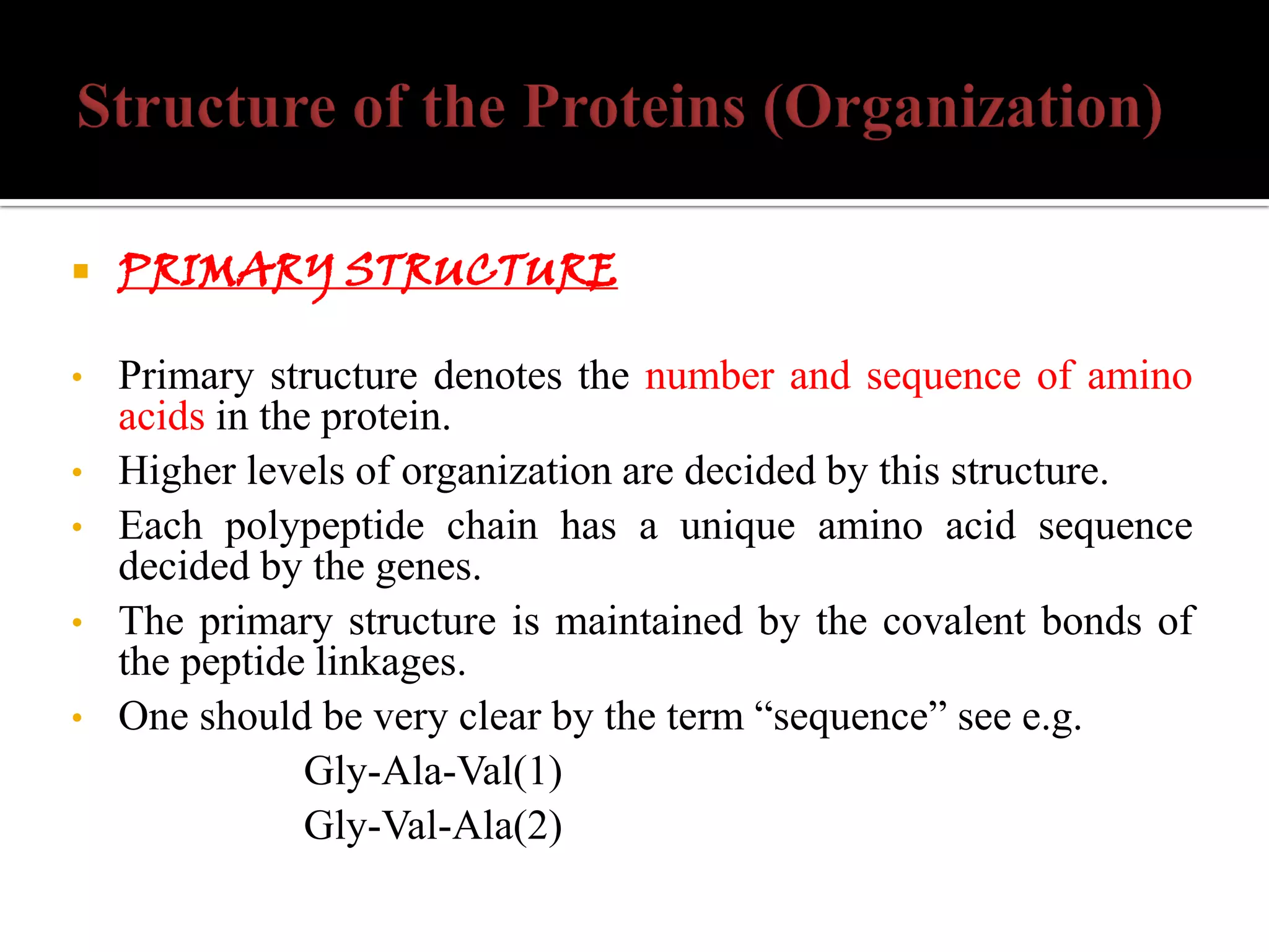Protein Chemistry and Functions | PDF