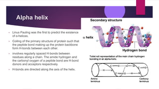 Structure of protein | PPT
