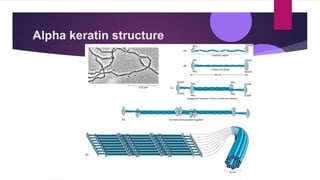 Structure of protein | PPTX