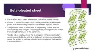 Structure of protein | PPT