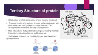 Structure of protein | PPT