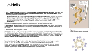 Structure of protein 3 this will help you a lot... | PDF