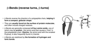 Structure of protein 3 this will help you a lot... | PDF