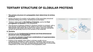 Structure of protein 3 this will help you a lot... | PDF
