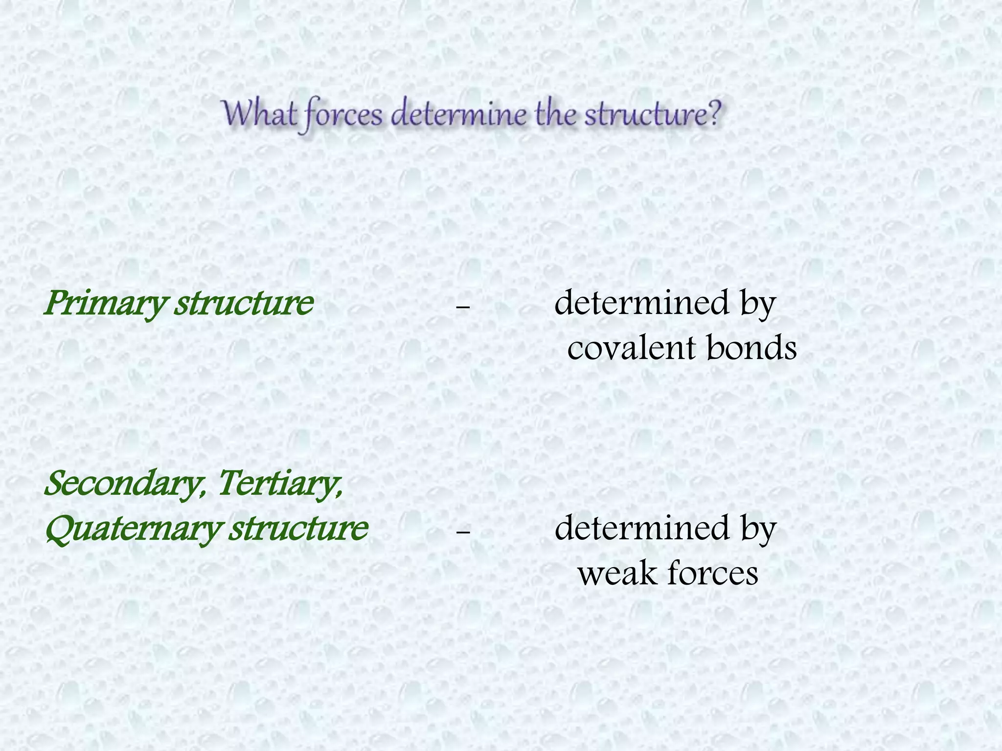 PROTEIN STRUCTURE PRESENTATION | PPTX