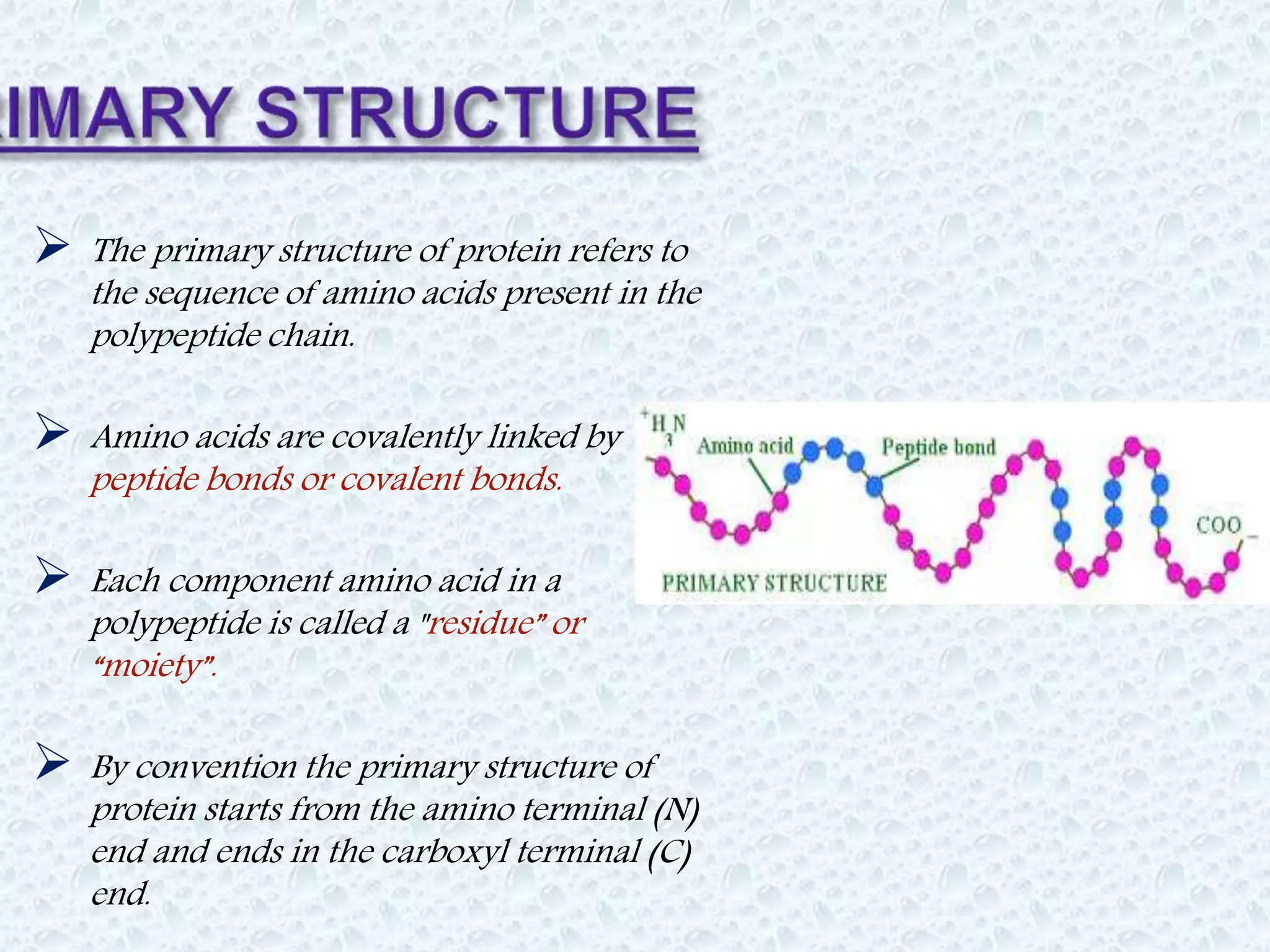PROTEIN STRUCTURE PRESENTATION | PPTX