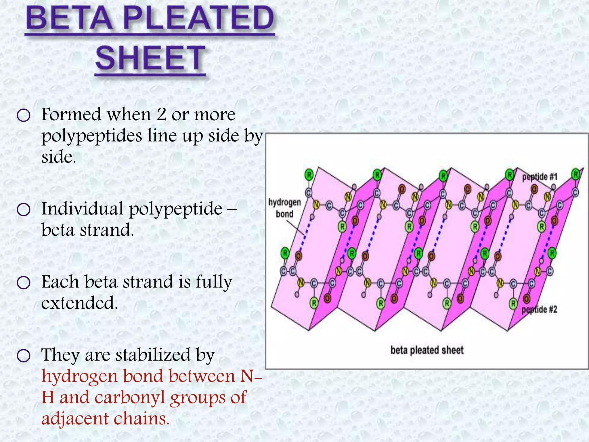 PROTEIN STRUCTURE PRESENTATION | PPTX