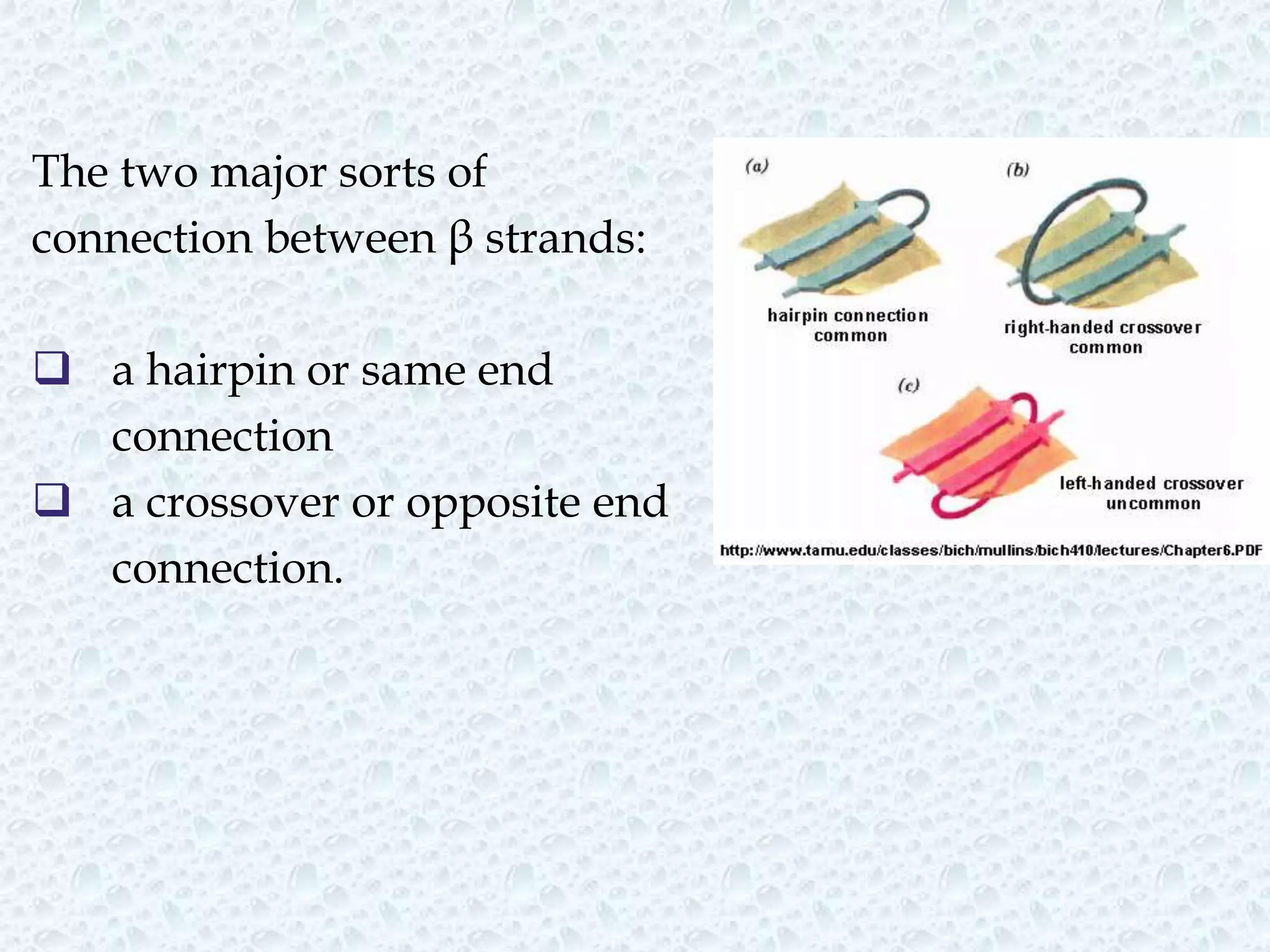PROTEIN STRUCTURE PRESENTATION | PPTX