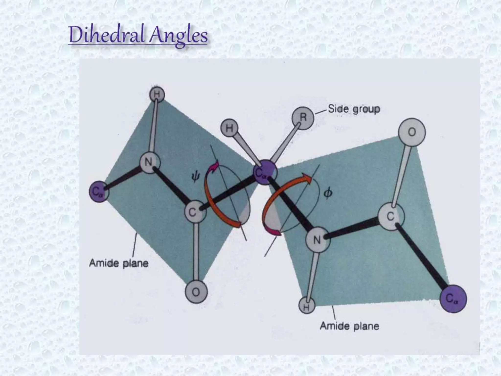PROTEIN STRUCTURE PRESENTATION | PPTX