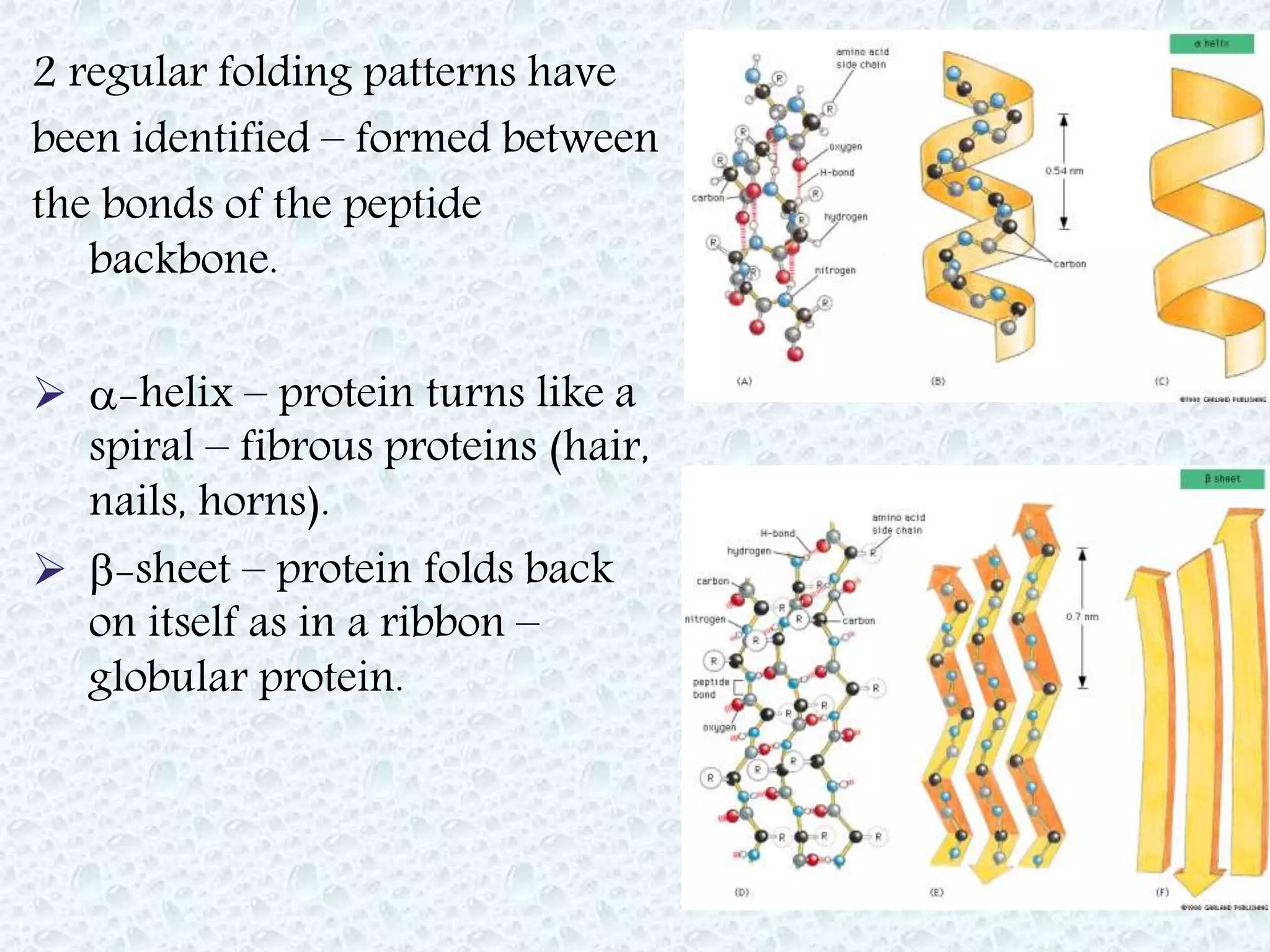 PROTEIN STRUCTURE PRESENTATION | PPTX
