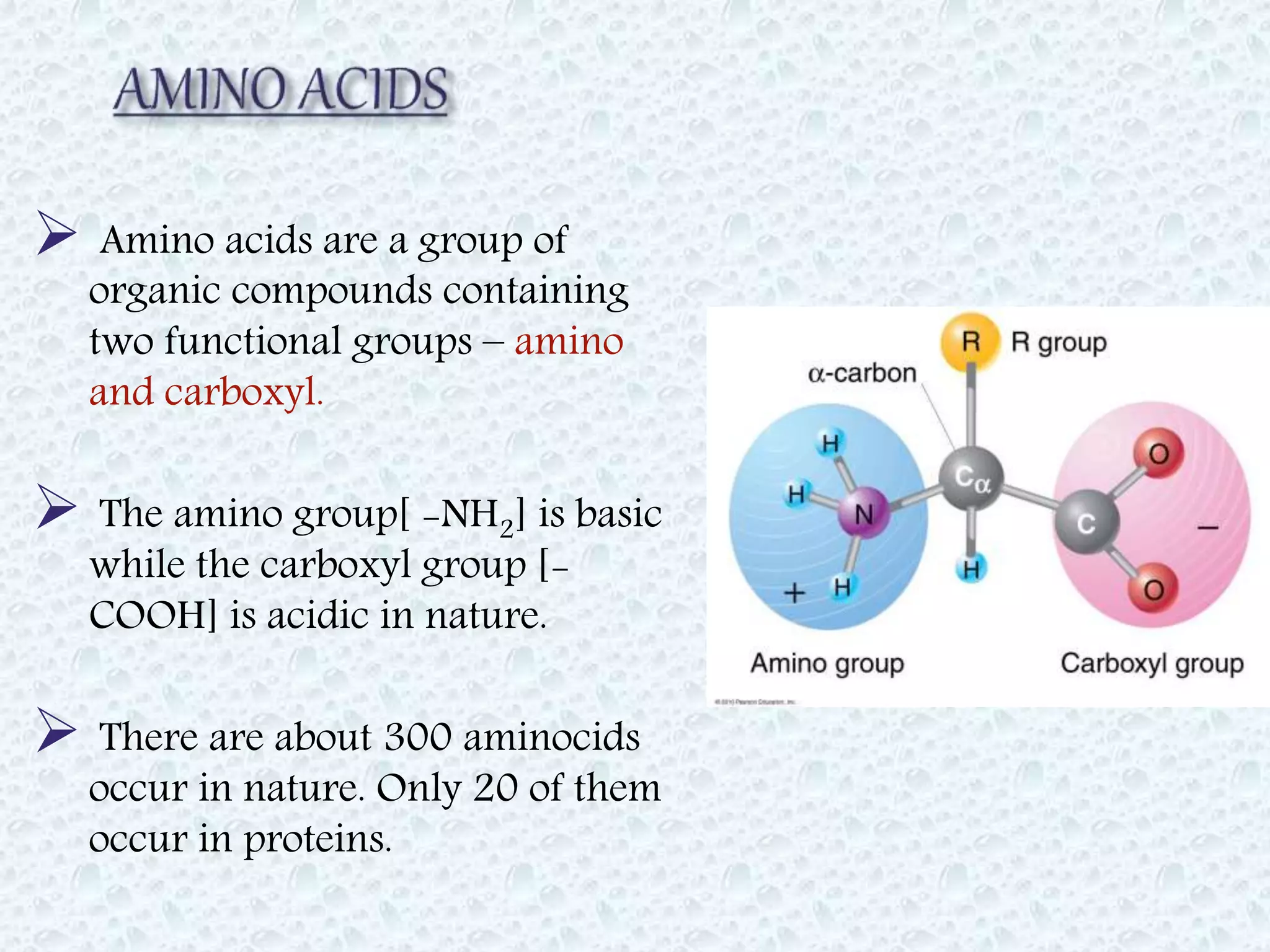 PROTEIN STRUCTURE PRESENTATION | PPTX