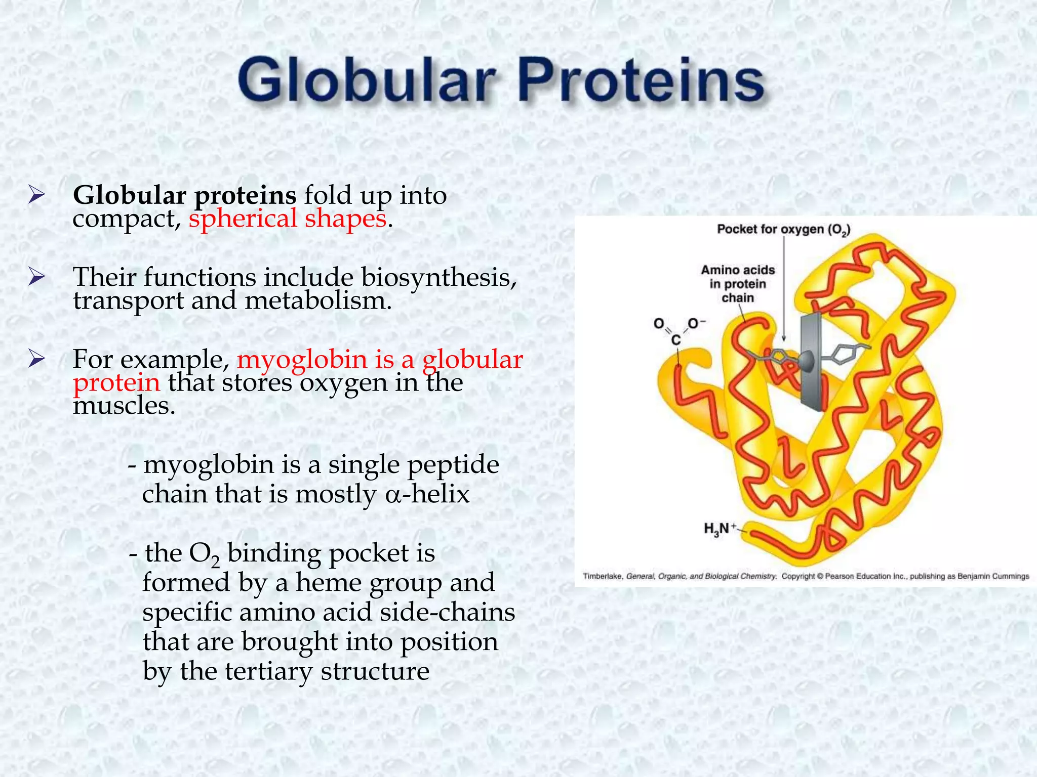 PROTEIN STRUCTURE PRESENTATION | PPTX