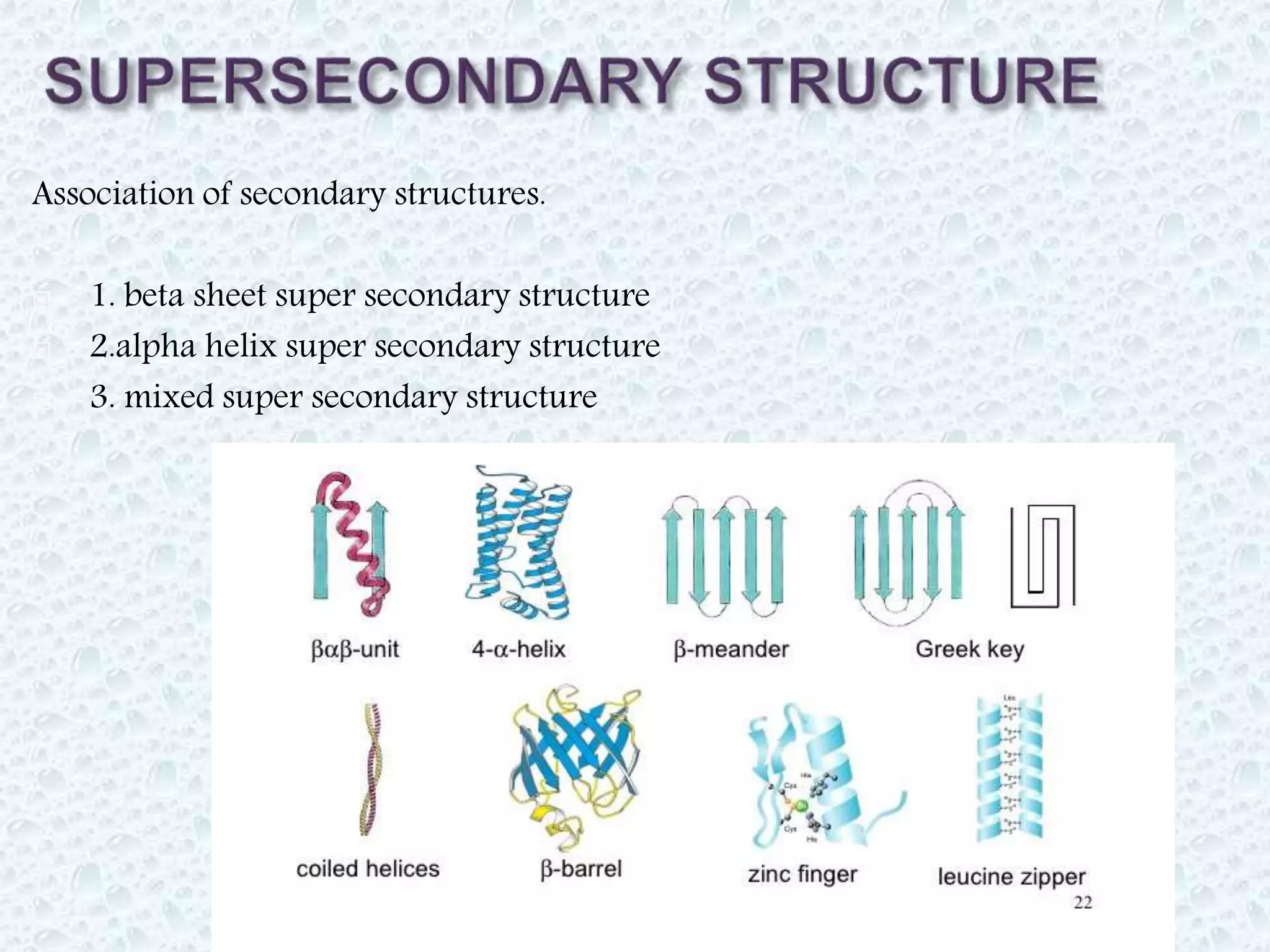 PROTEIN STRUCTURE PRESENTATION | PPTX