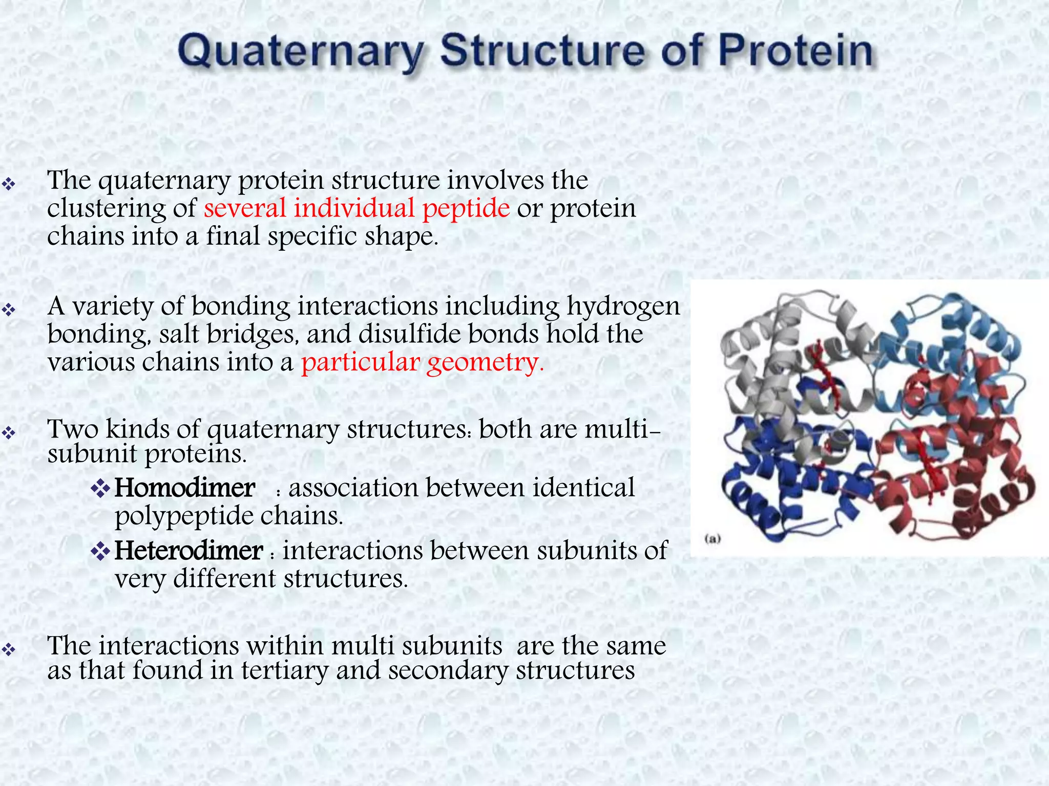 PROTEIN STRUCTURE PRESENTATION | PPTX
