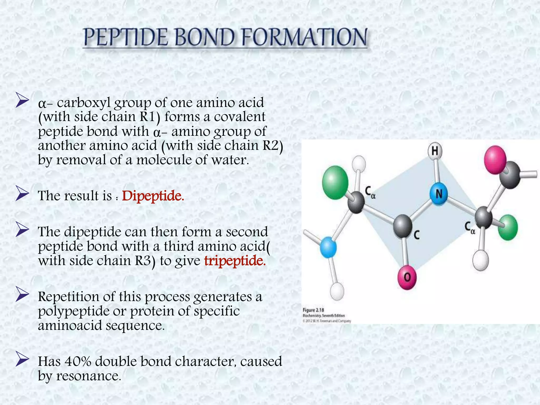 PROTEIN STRUCTURE PRESENTATION | PPTX