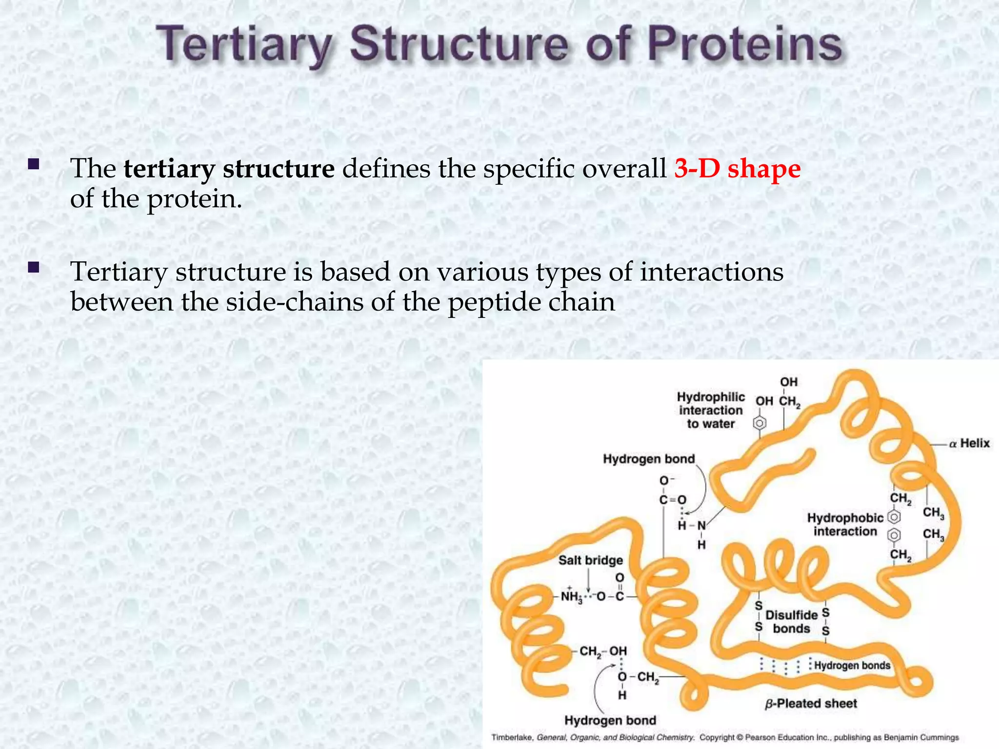 PROTEIN STRUCTURE PRESENTATION