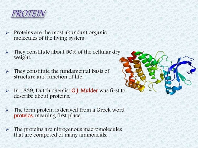 PROTEIN STRUCTURE PRESENTATION | PPTX