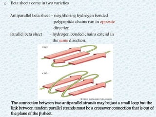 PROTEIN STRUCTURE PRESENTATION | PPTX