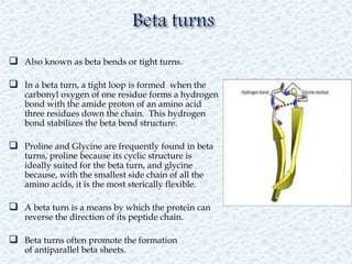 PROTEIN STRUCTURE PRESENTATION | PPTX