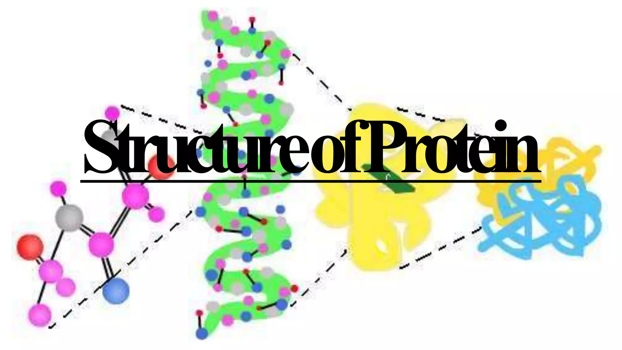 structure of proteins-.pptx