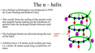 structure of proteins-.pptx | Chemistry | Science