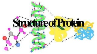 structure of proteins-.pptx | Chemistry | Science