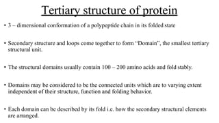 structure of proteins-.pptx | Chemistry | Science
