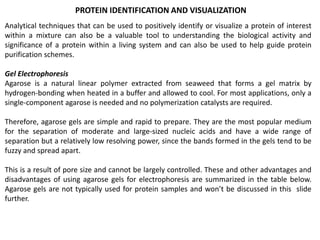 STRUCTURE OF PROTEINS.pdf