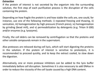 STRUCTURE OF PROTEINS.pdf