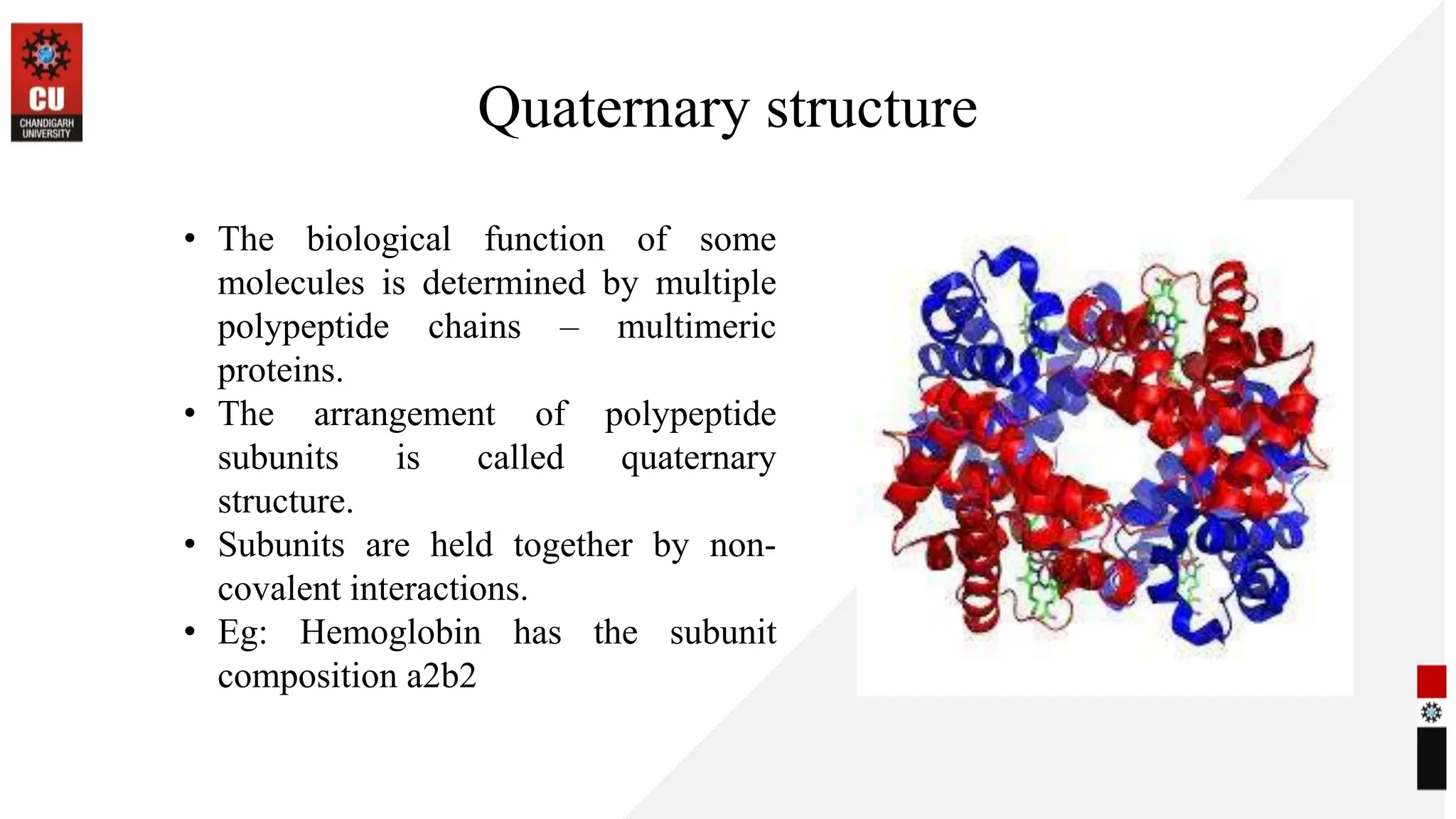 structure of proteins and its type I PPT | PPTX