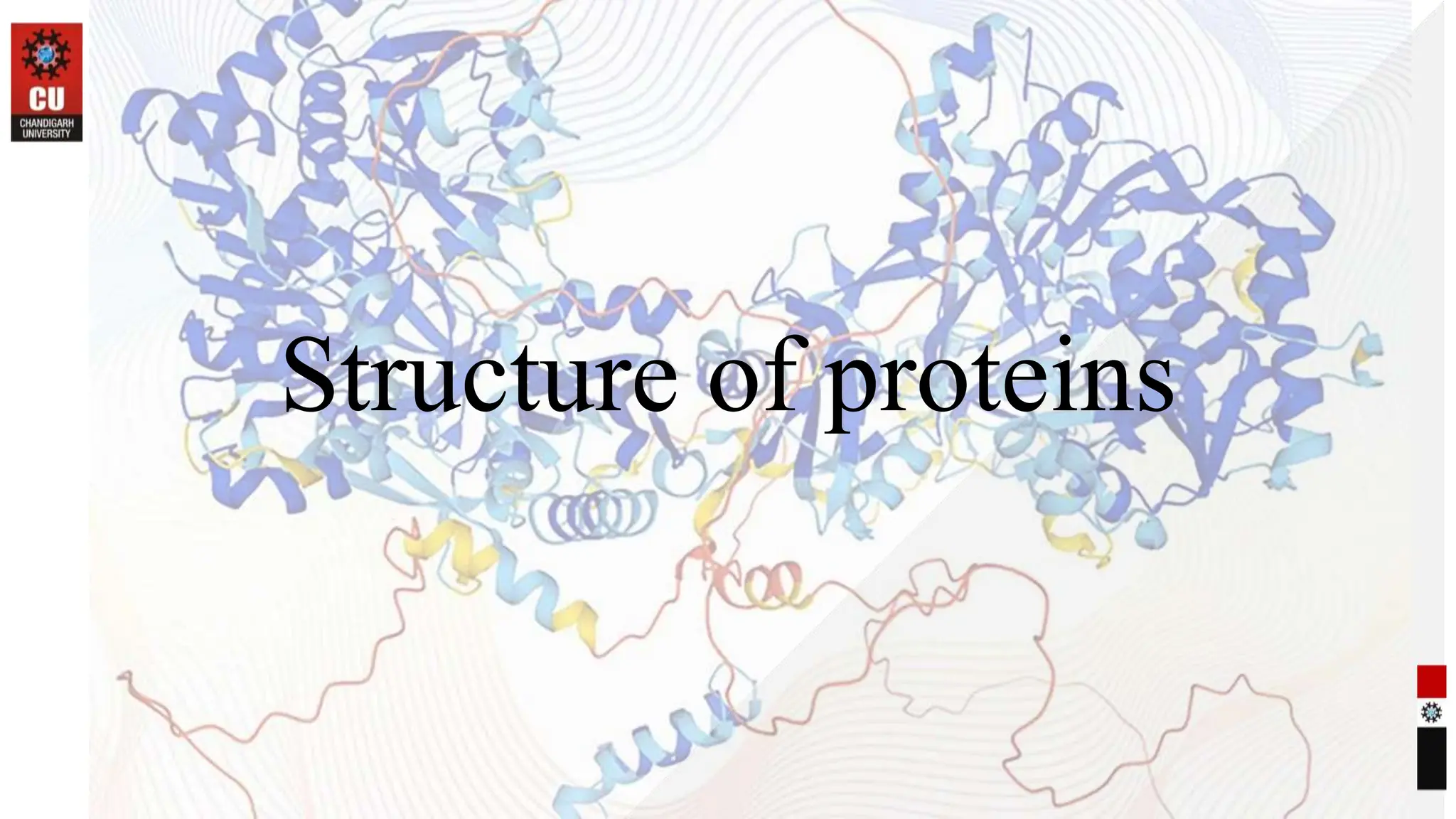 structure of proteins and its type I PPT | PPT