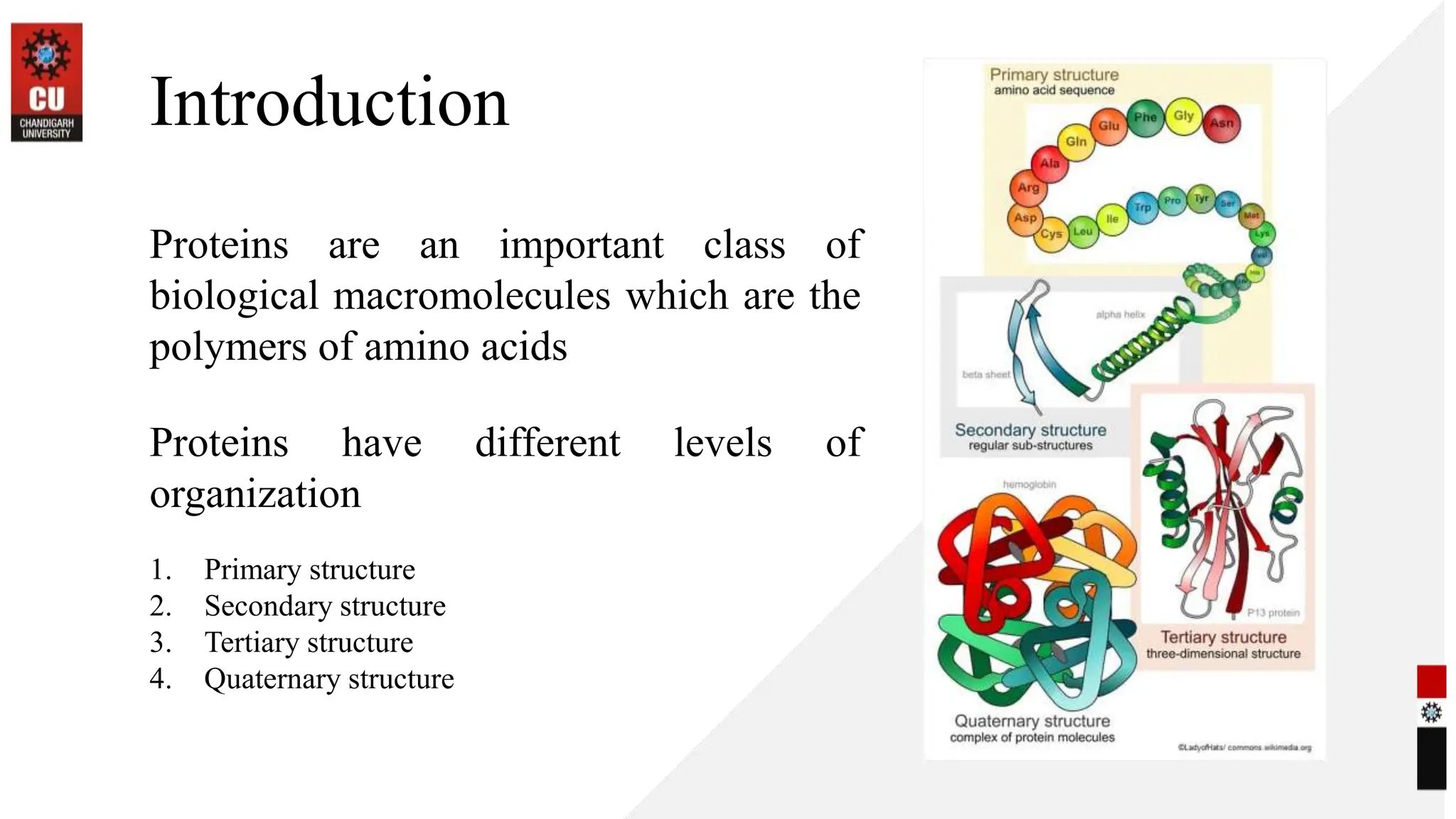 structure of proteins and its type I PPT | PPT