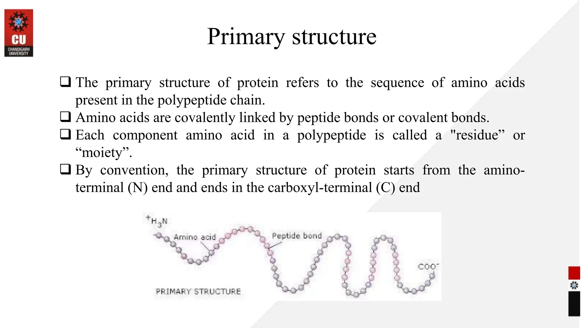 structure of proteins and its type I PPT | PPTX