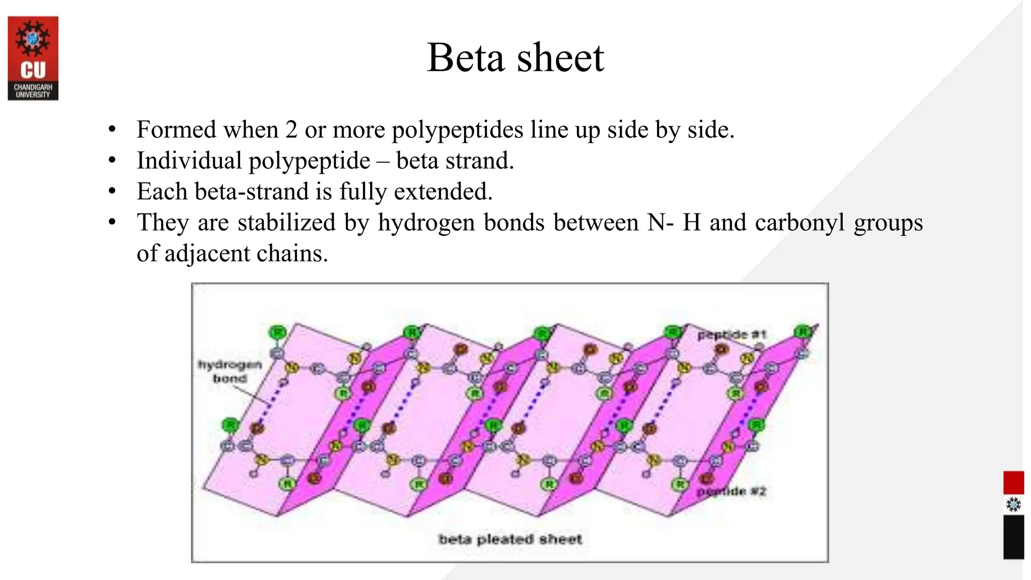 structure of proteins and its type I PPT | PPTX