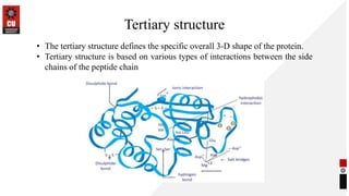 structure of proteins and its type I PPT | PPT