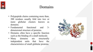 structure of proteins and its type I PPT | PPT