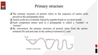 structure of proteins and its type I PPT | PPT