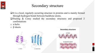 structure of proteins and its type I PPT | PPT